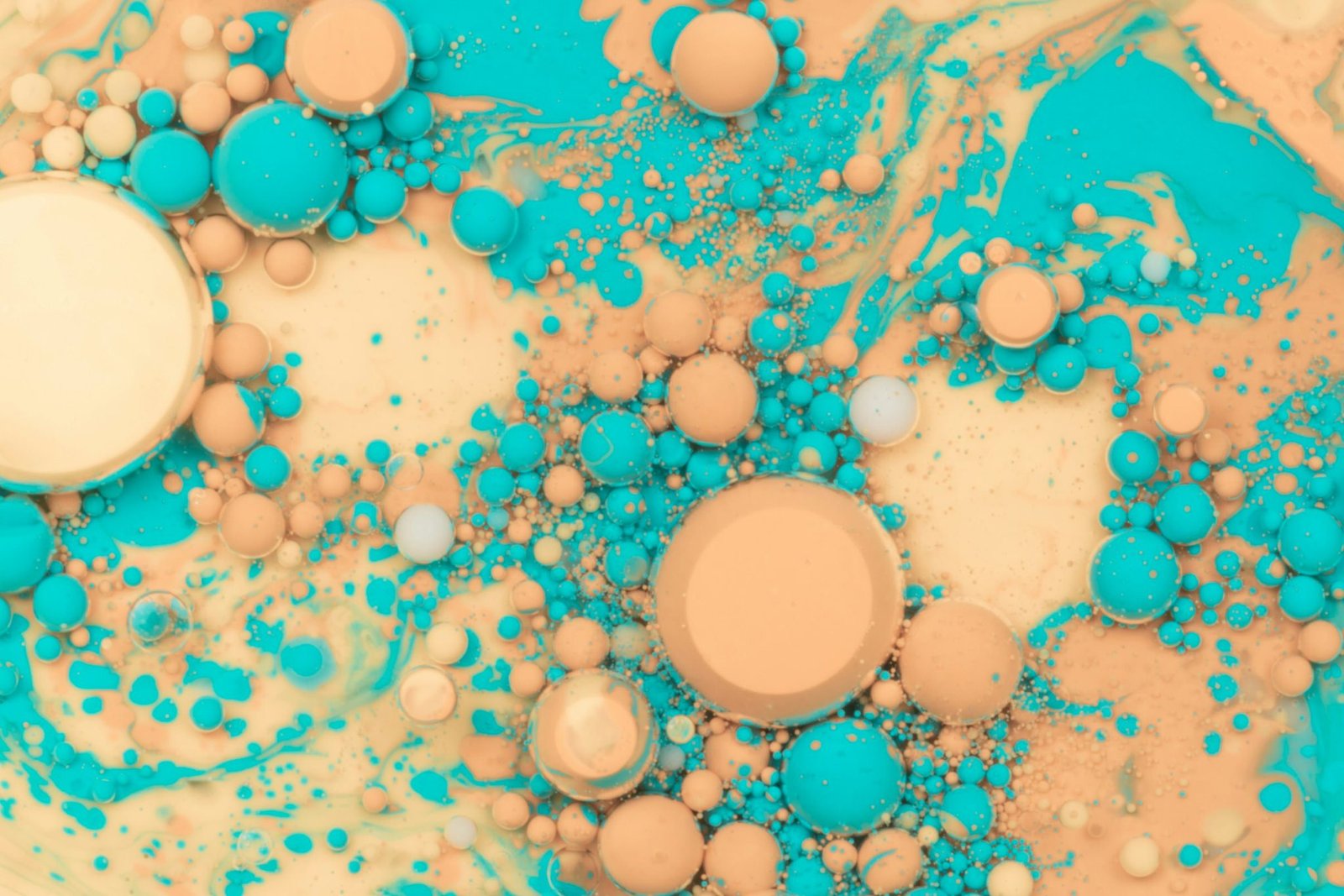 22qMinded | Global 22q11.2 Deletion & Duplication Syndrome Support